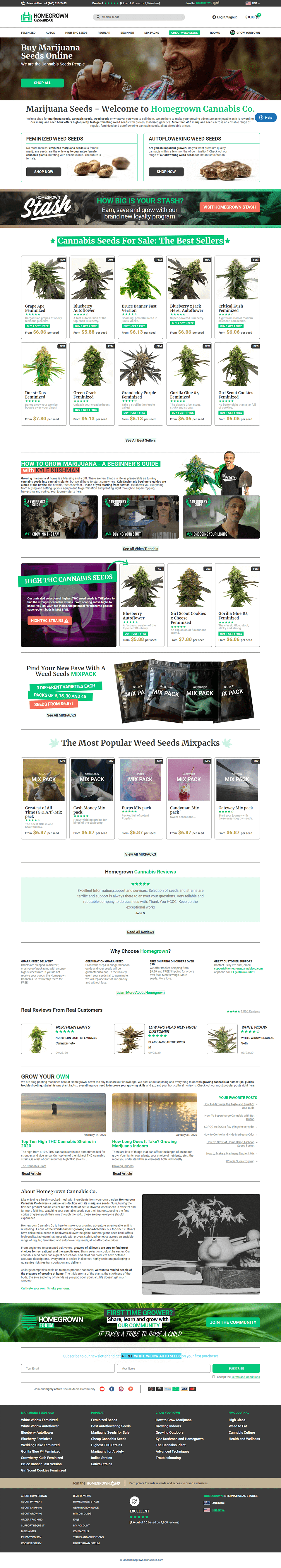 Have a Look at Our Amazing Portfolio | US Website Designers